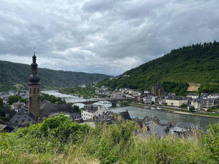 Cochem Travel Guide: Castle, Wine Hiking and more – My Green Trips