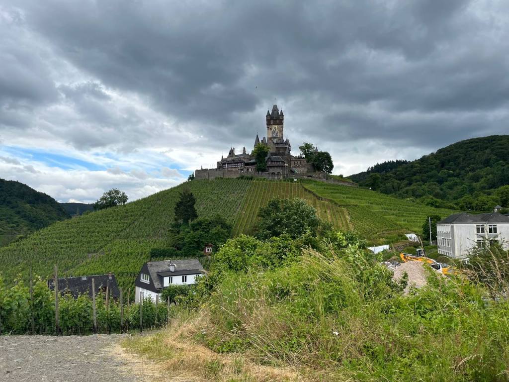 Cochem Travel Guide: Castle, Wine Hiking and more – My Green Trips