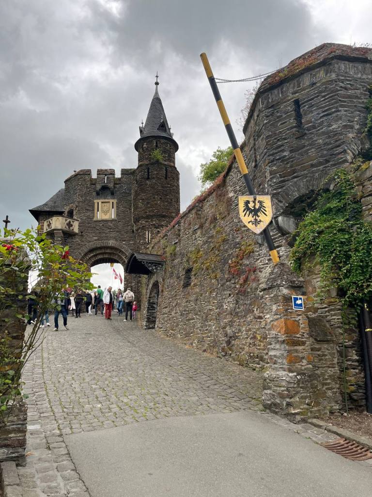 Cochem Travel Guide: Castle, Wine Hiking and more – My Green Trips