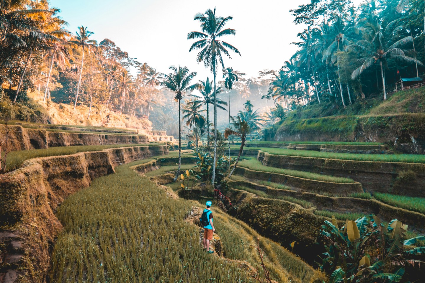 35 Best Eco-Friendly Travel Tips in 2025 – My Green Trips